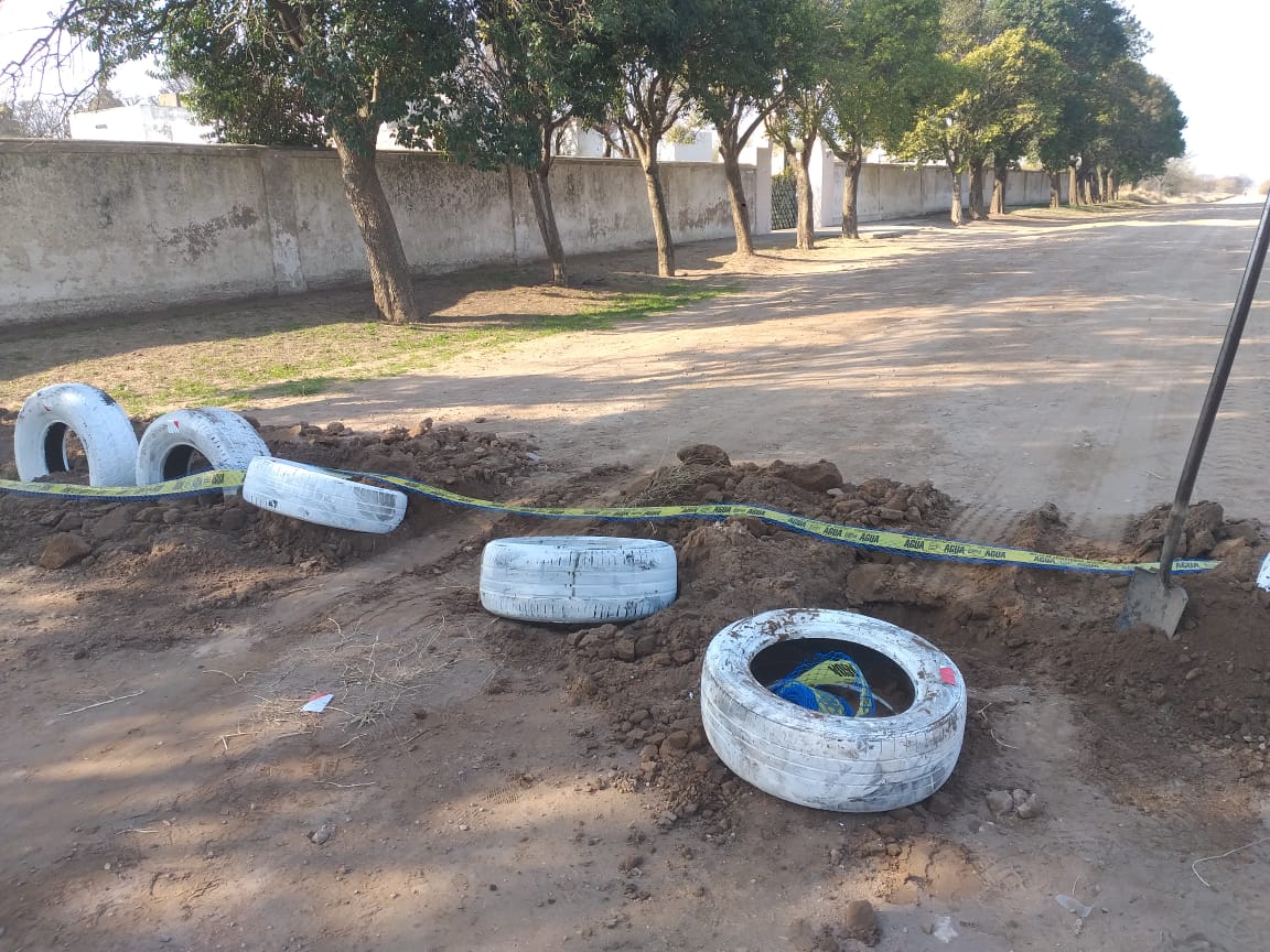 Ingeniero Luiggi: Patricia Lavín si no hay voluntad se hace muy difícil ...